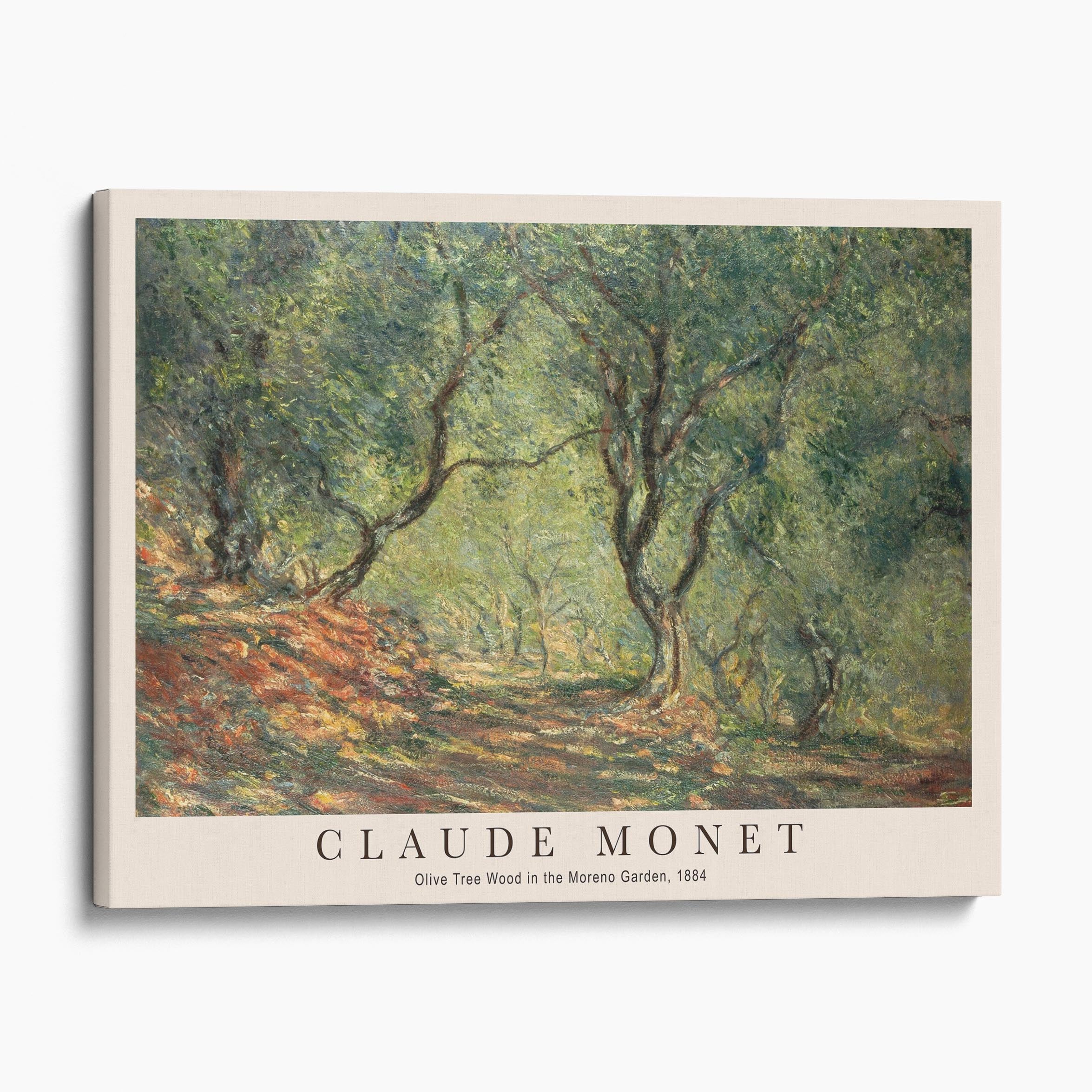 Claude Monet Olive Tree Wood in the Moreno Garden Canvas Wall Art ...
