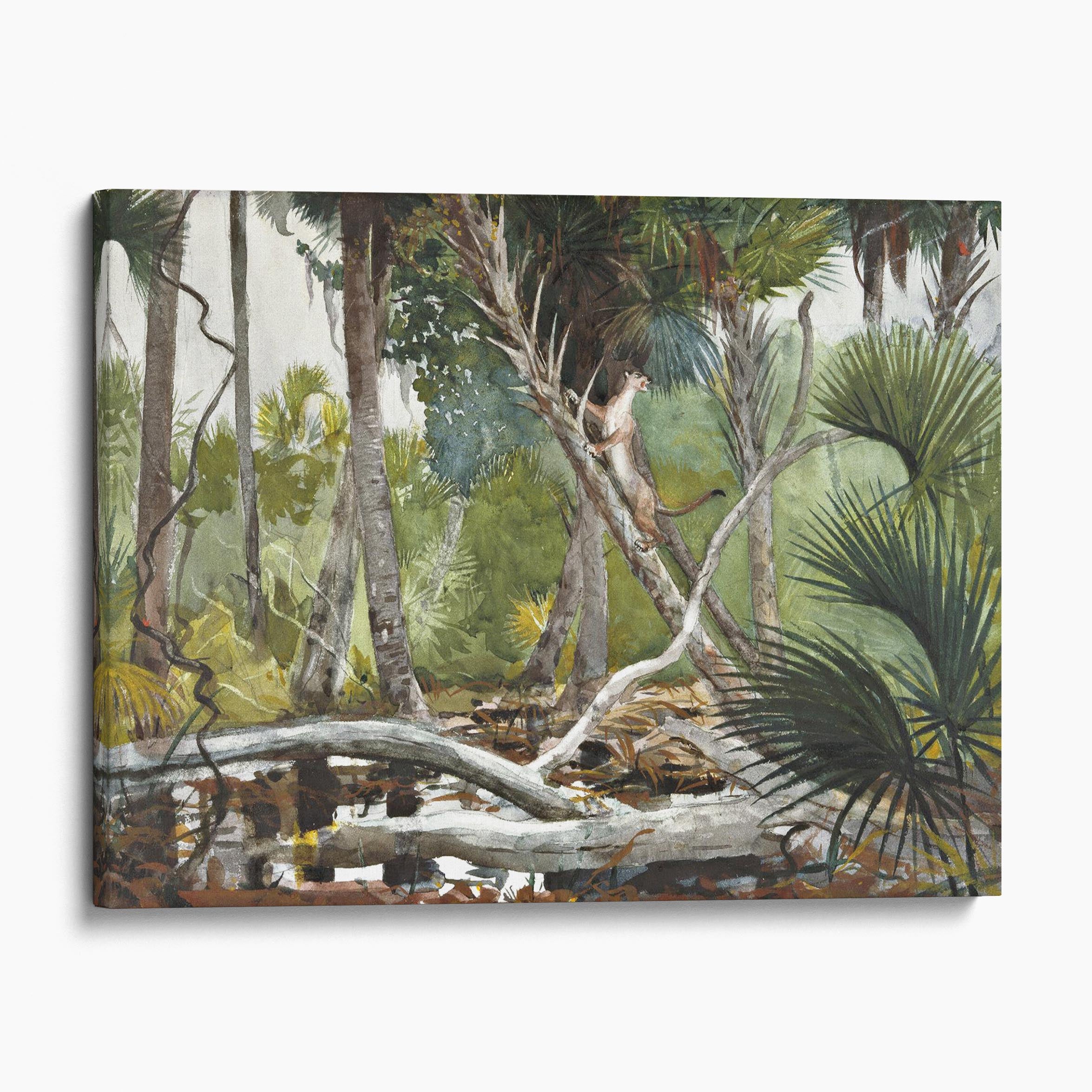 In the Jungle, Florida by Winslow Homer Canvas Wall Art Prints – Big ...